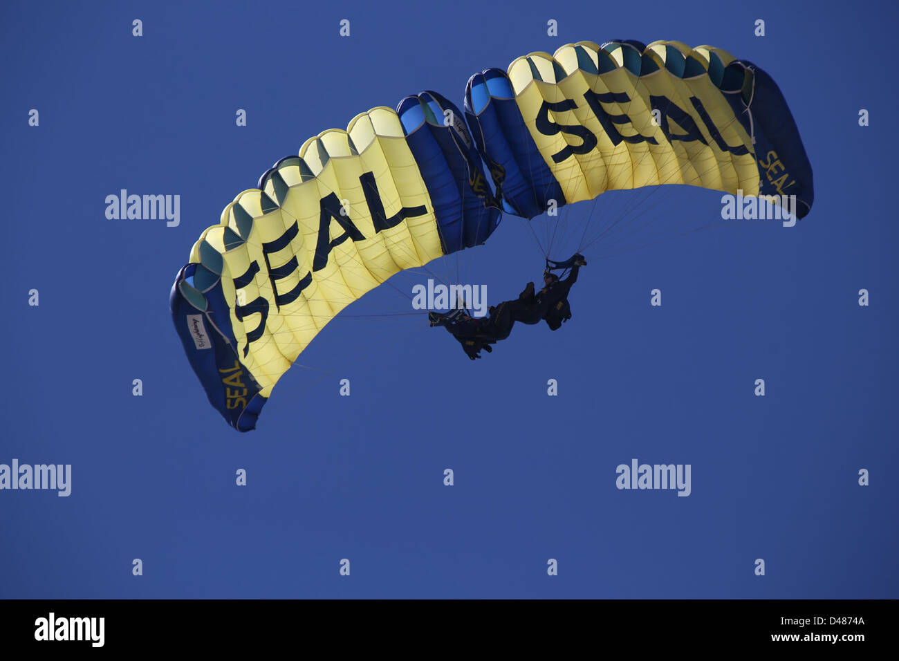 The Leap Frogs, the U.S. Navy Parachute Team, perform a skydiving ...
