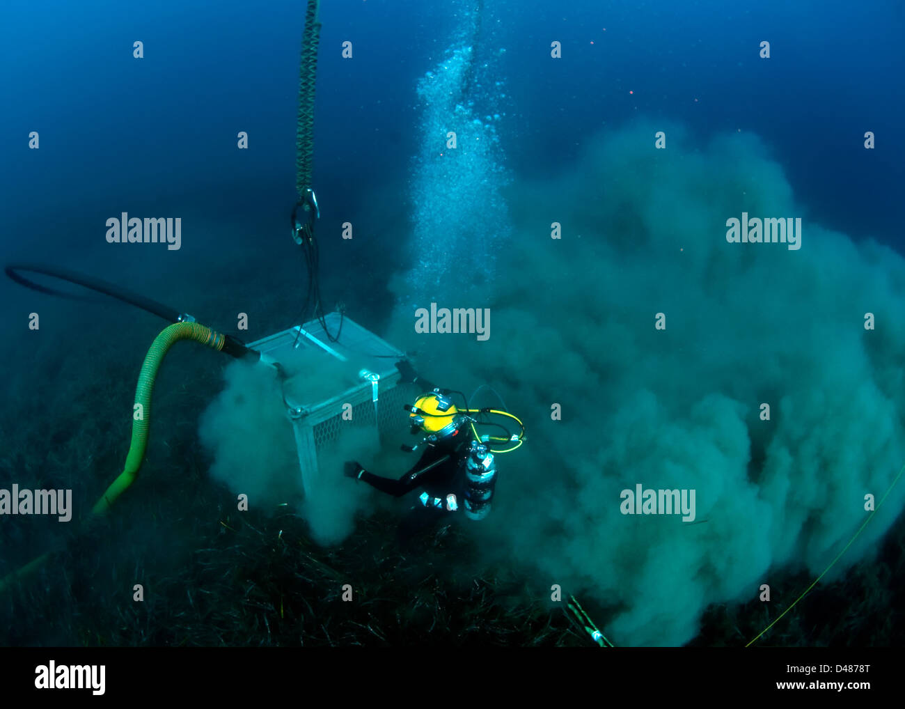 U.S. Navy divers conduct a search and recovery operation in the ...