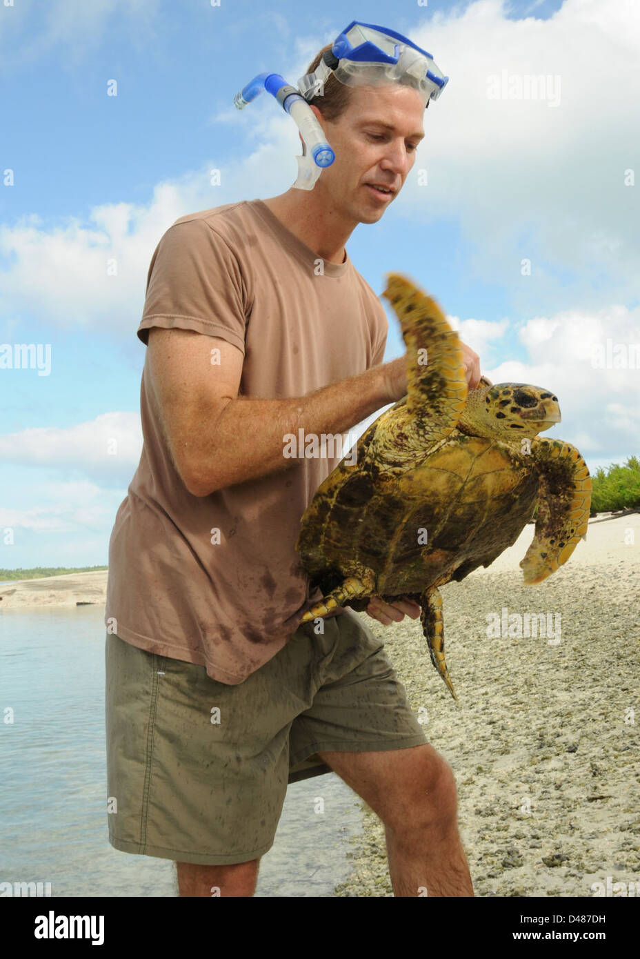 Animal tagging program hi-res stock photography and images - Alamy