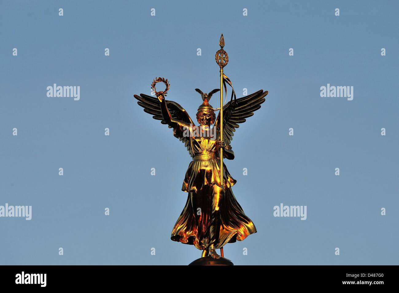 Golden lizzy hi-res stock photography and images - Alamy