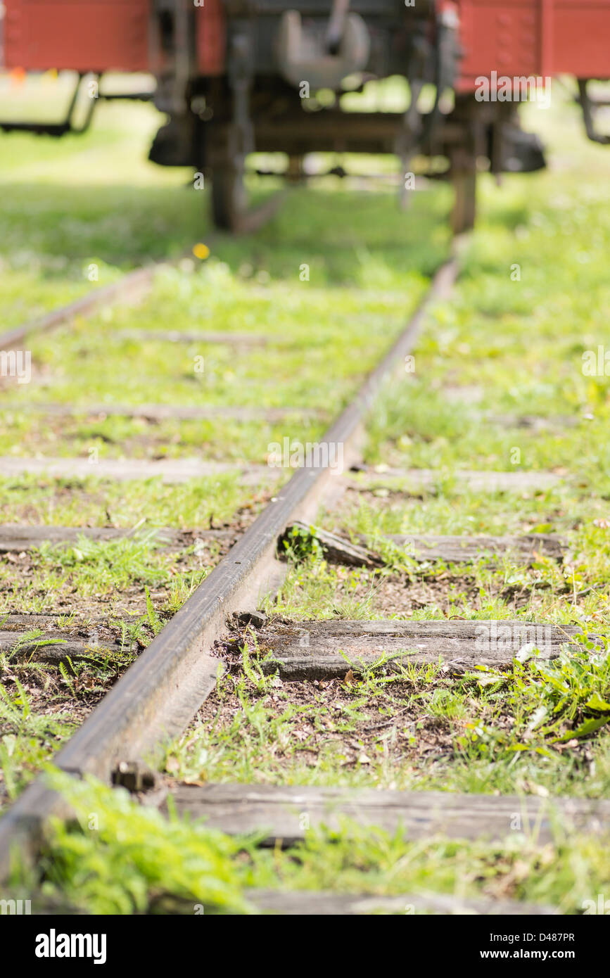 Closeup of train track in summer with grass growing, railway wagon in ...