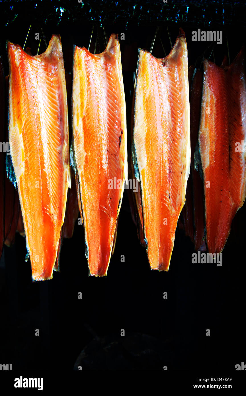 Rows of salmon hanging in smokehouse at Pinneys Stock Photo - Alamy