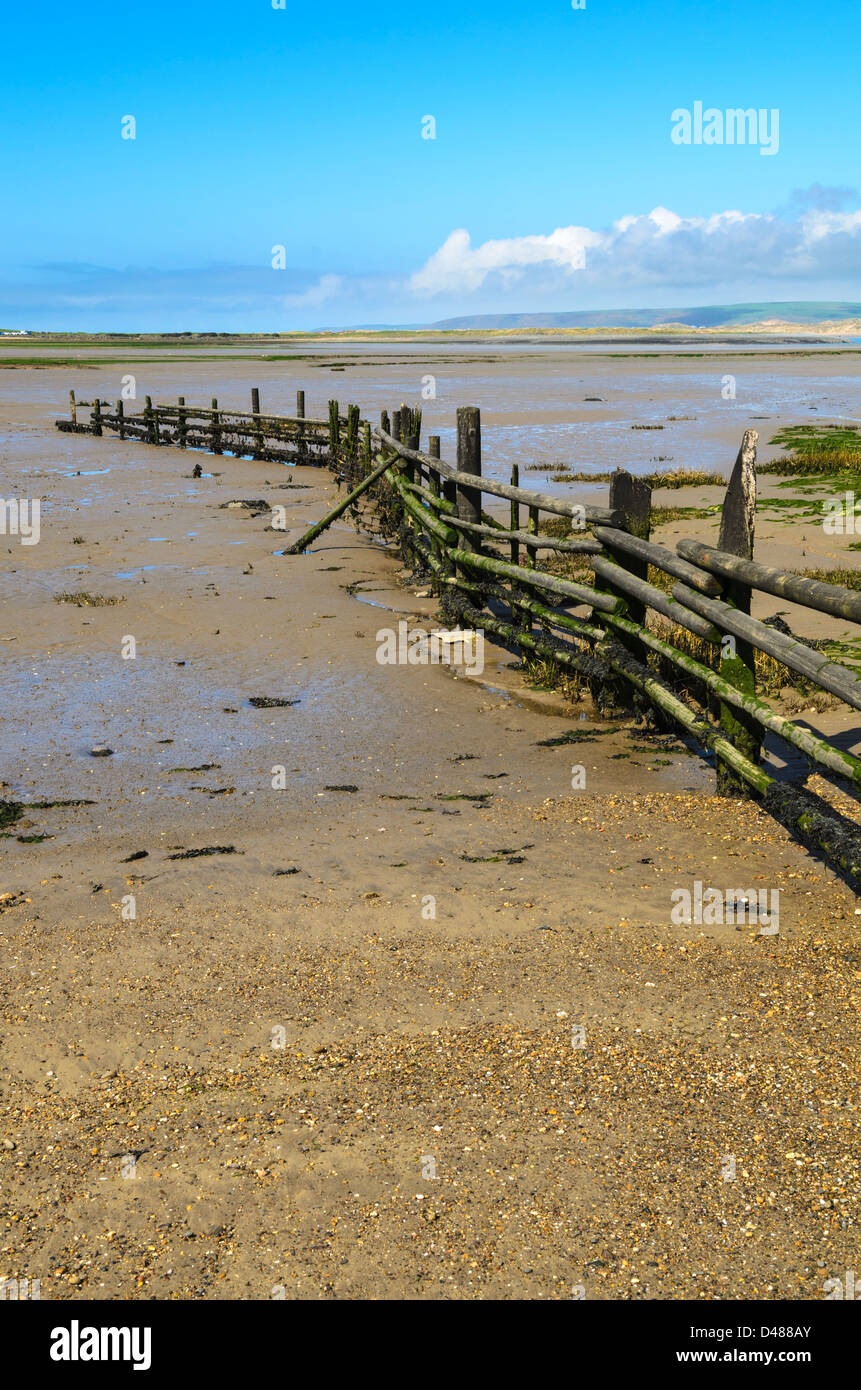 The Skern Mudflats in the Taw and Torridge estuary at Appledore, Devon ...