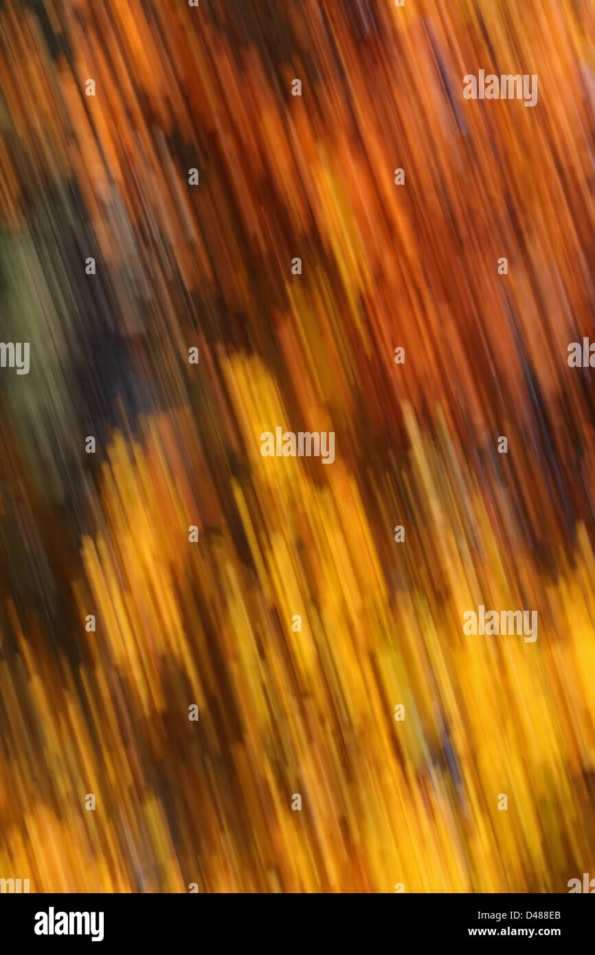 Abstract of leaves hi-res stock photography and images - Alamy