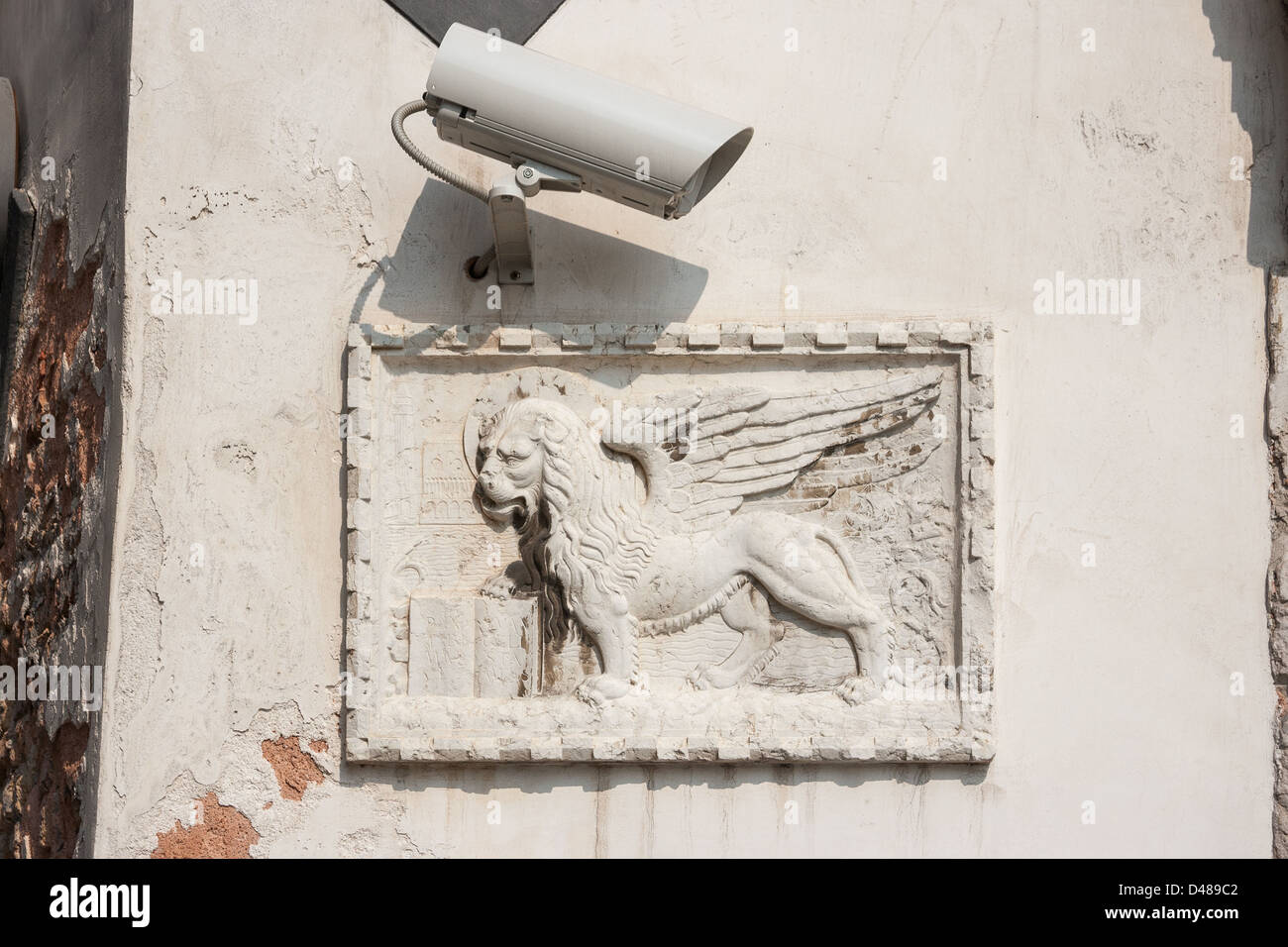 Winged lion. Venice, Italy Stock Photo - Alamy