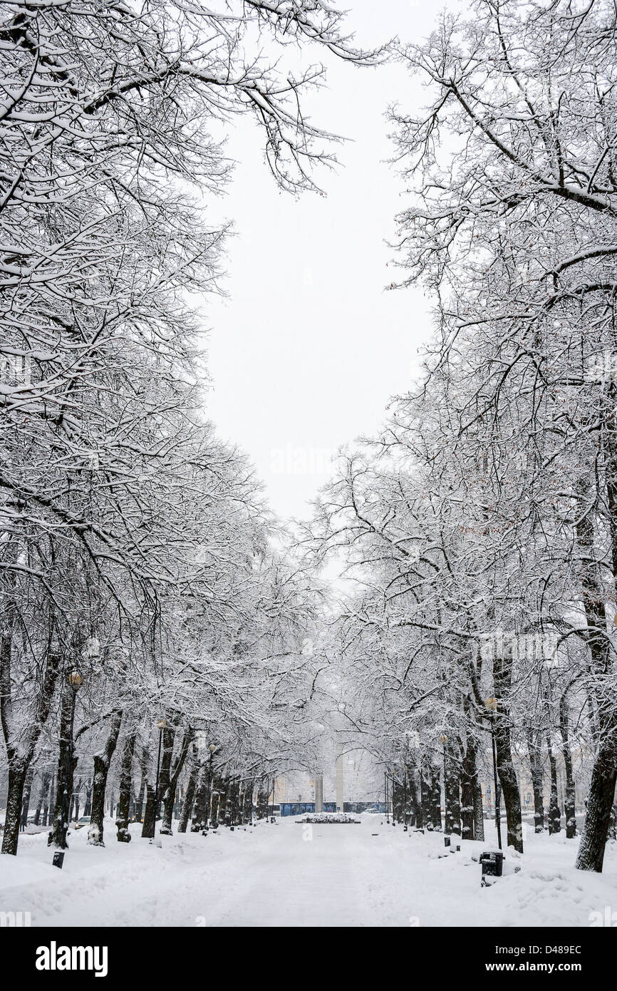 Kaarli boulevard. Tallinn, Estonia Stock Photo - Alamy