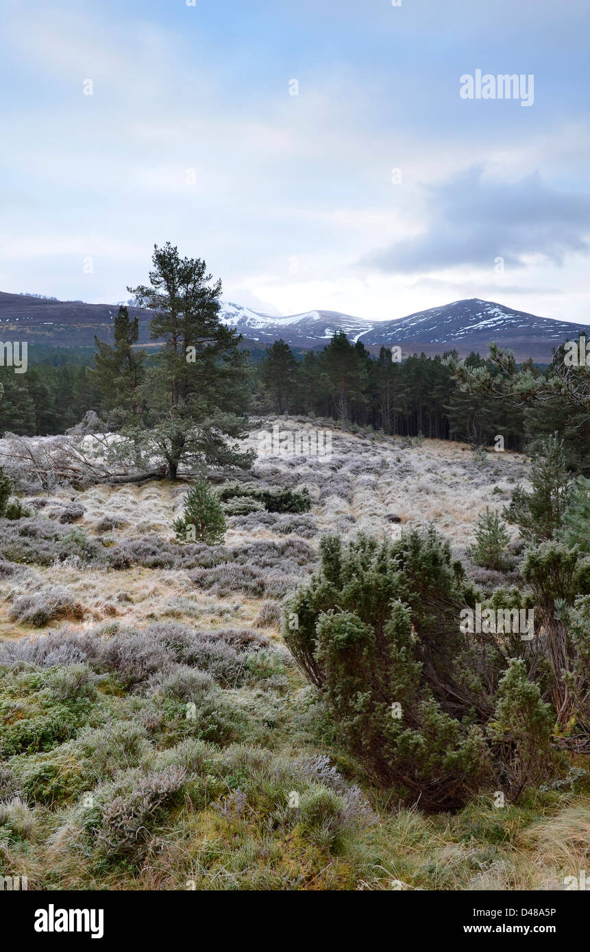 Cairngorm mountains near aviemore highlands hi-res stock photography ...