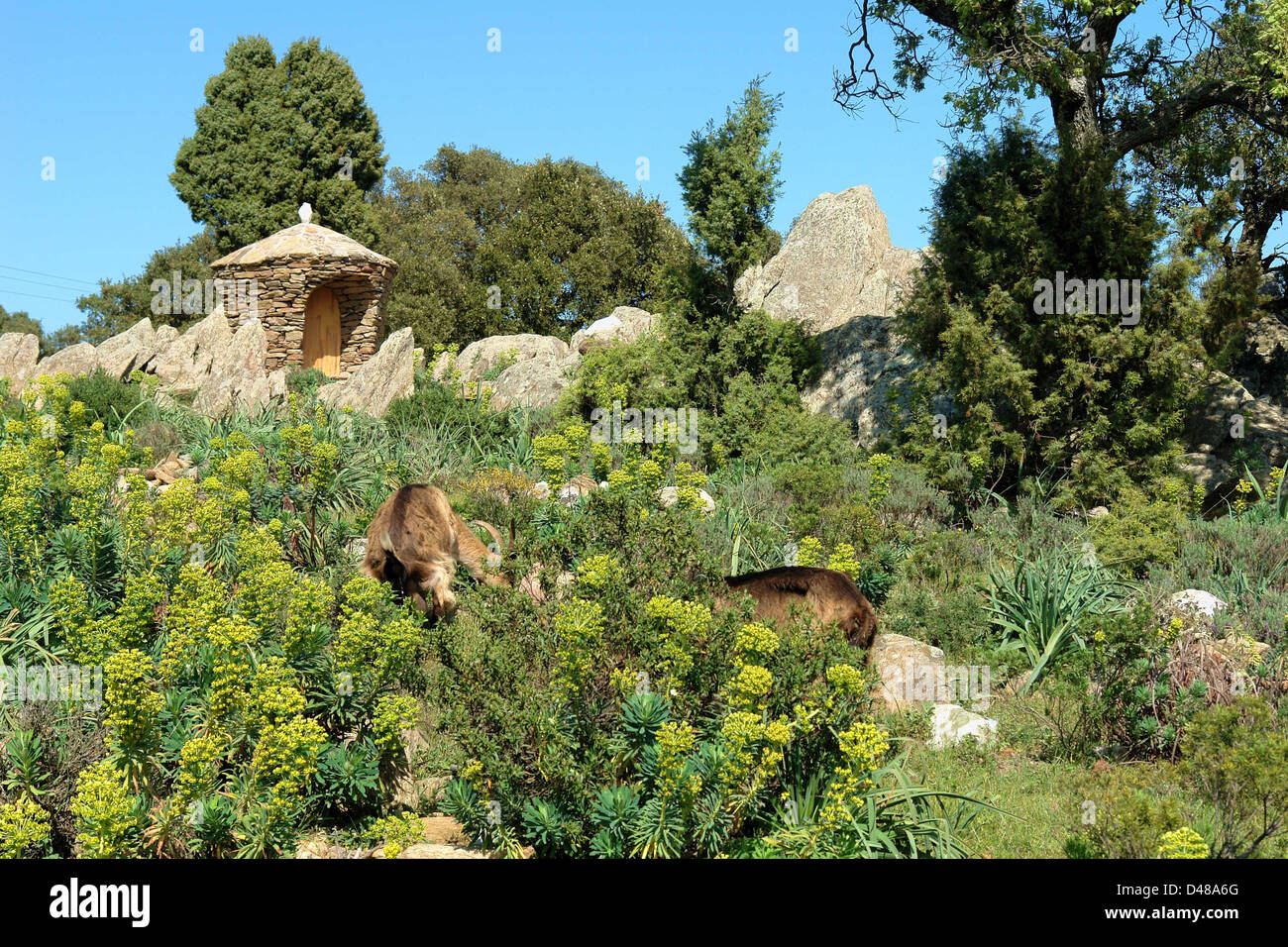 Old typical Provençal mas Stock Photo - Alamy