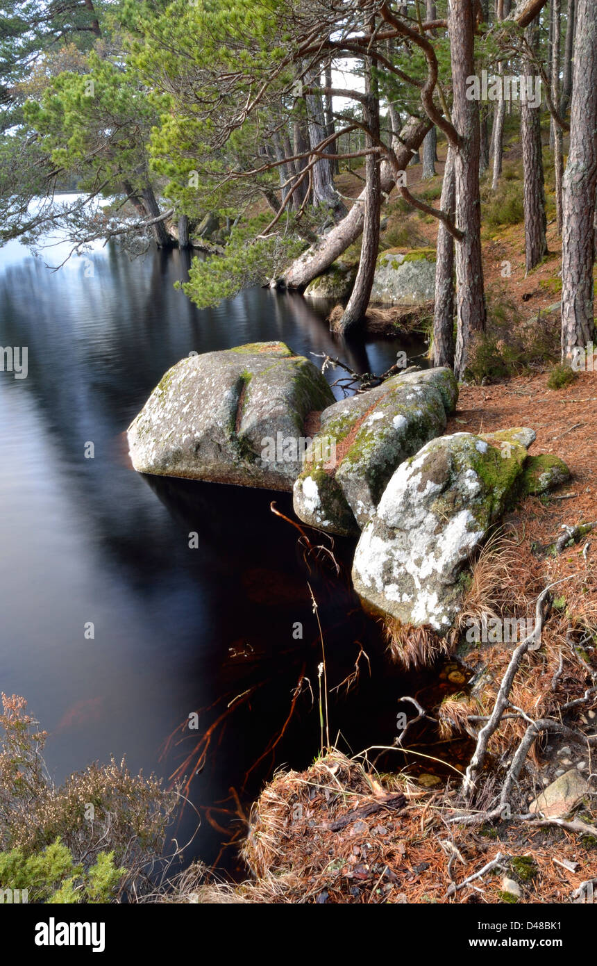 Loch Garten - Boat of Garten - Cairngorms National Park, Scotland, UK ...