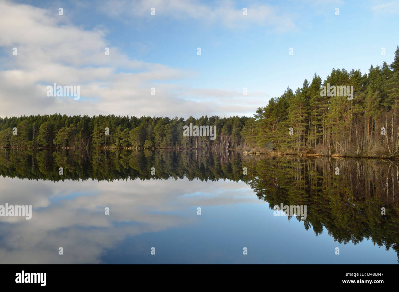 Loch Garten - Boat of Garten - Cairngorms National Park, Scotland, UK ...