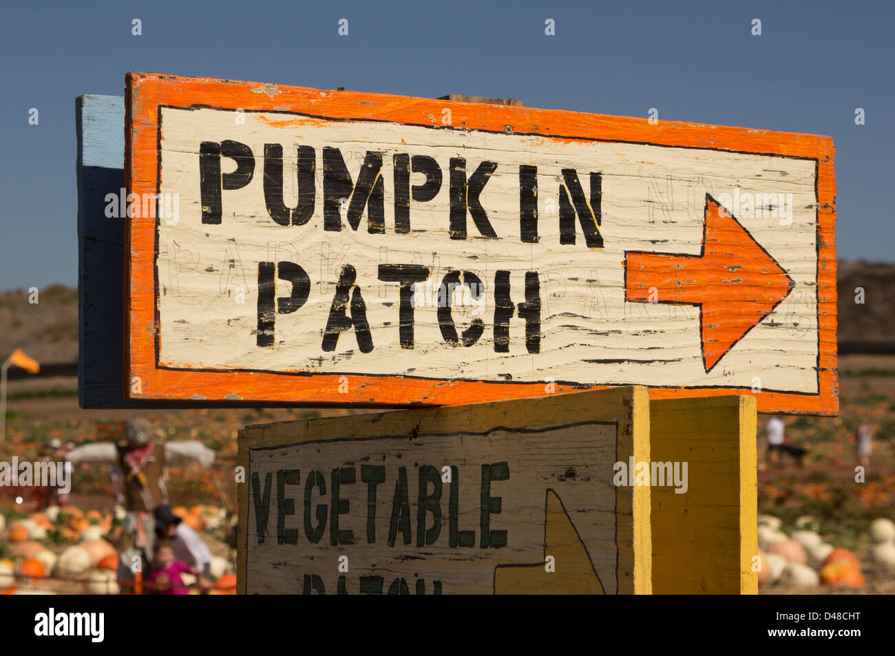Pumpkin patch and sign Stock Photo - Alamy