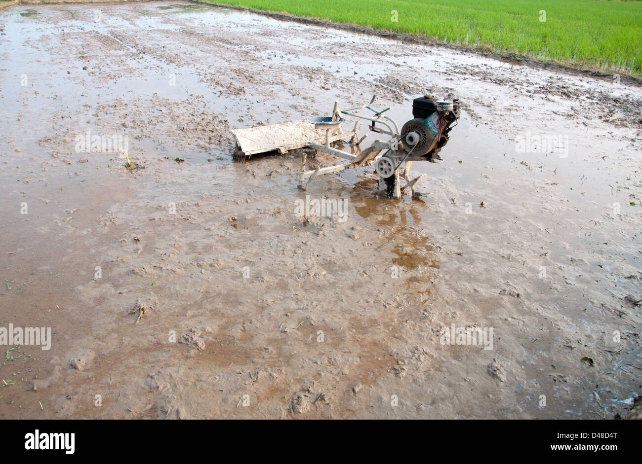 Field ecology hi-res stock photography and images - Alamy