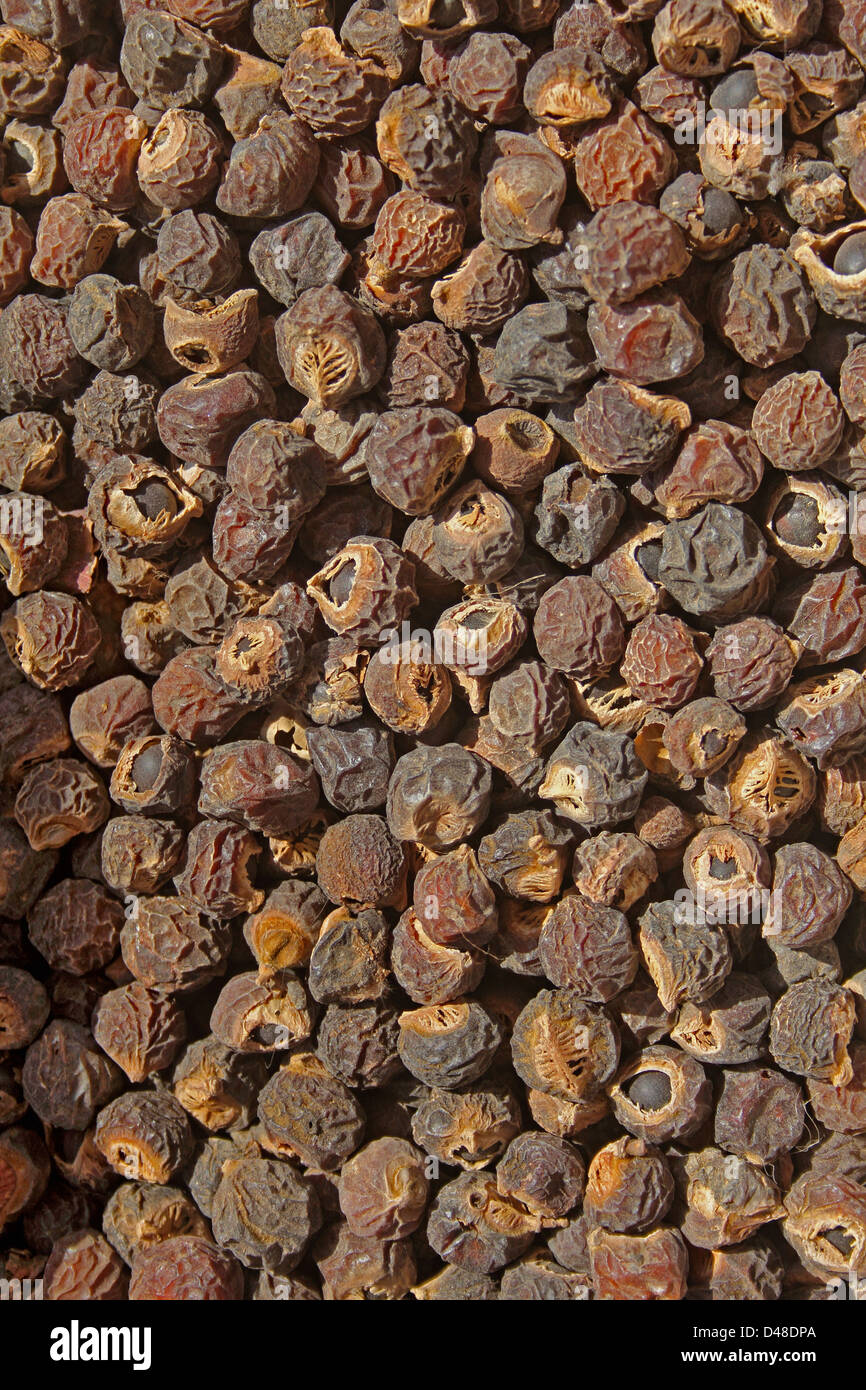 Seeds of Reetha, Chinese Soapberry, North Indian soapnut, Washing nuts ...