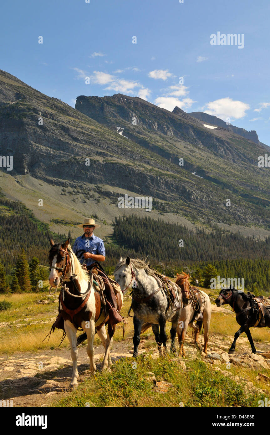 Horseback Riding Glacier National Park Montana MT US Stock Photo - Alamy