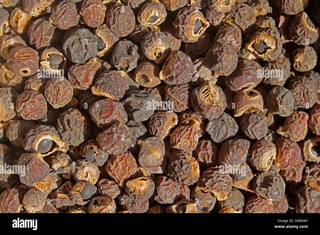 Seeds of Reetha, Chinese Soapberry, North Indian soapnut, Washing nuts ...
