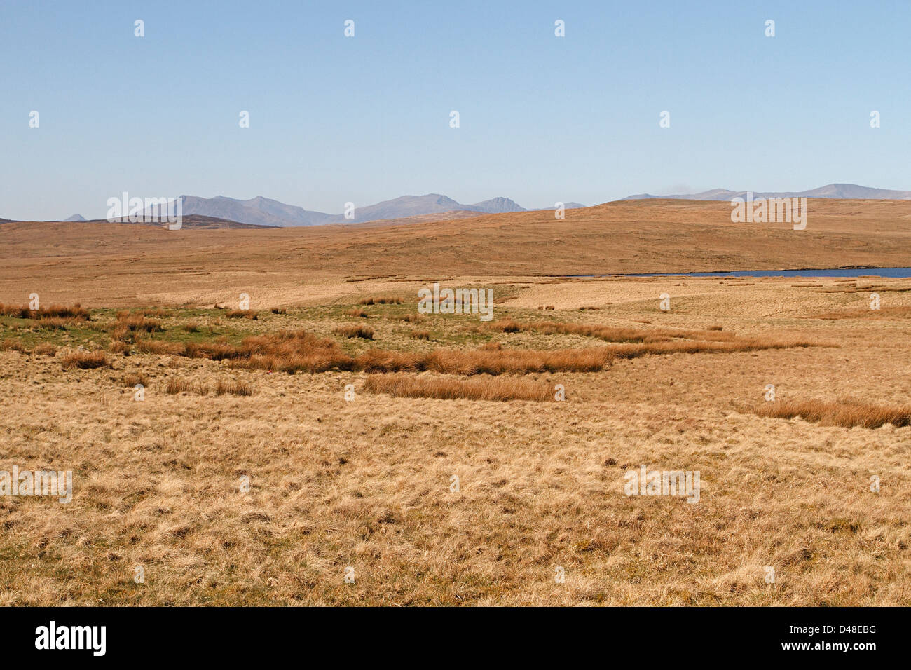Grass moorland Denbigh Moors with Snowdon mountain range showing in ...