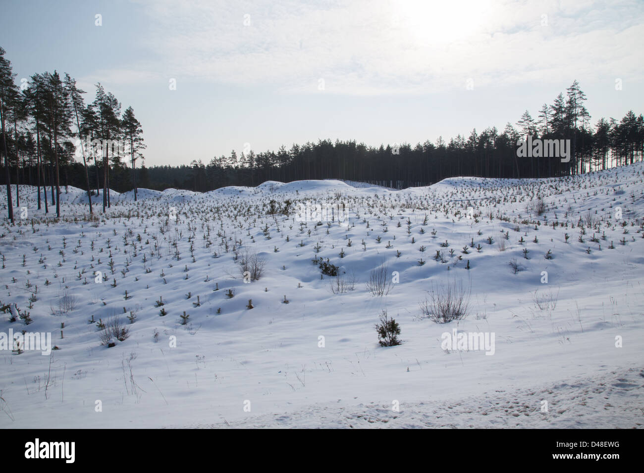 cold winter day Stock Photo - Alamy