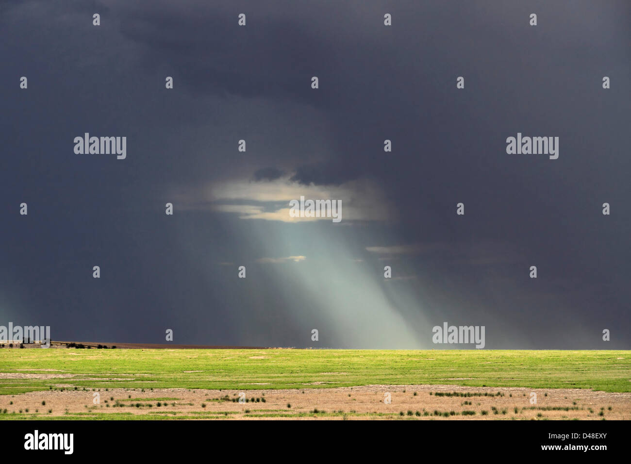 Storm over farmland, Carnamah Western Australia Stock Photo - Alamy