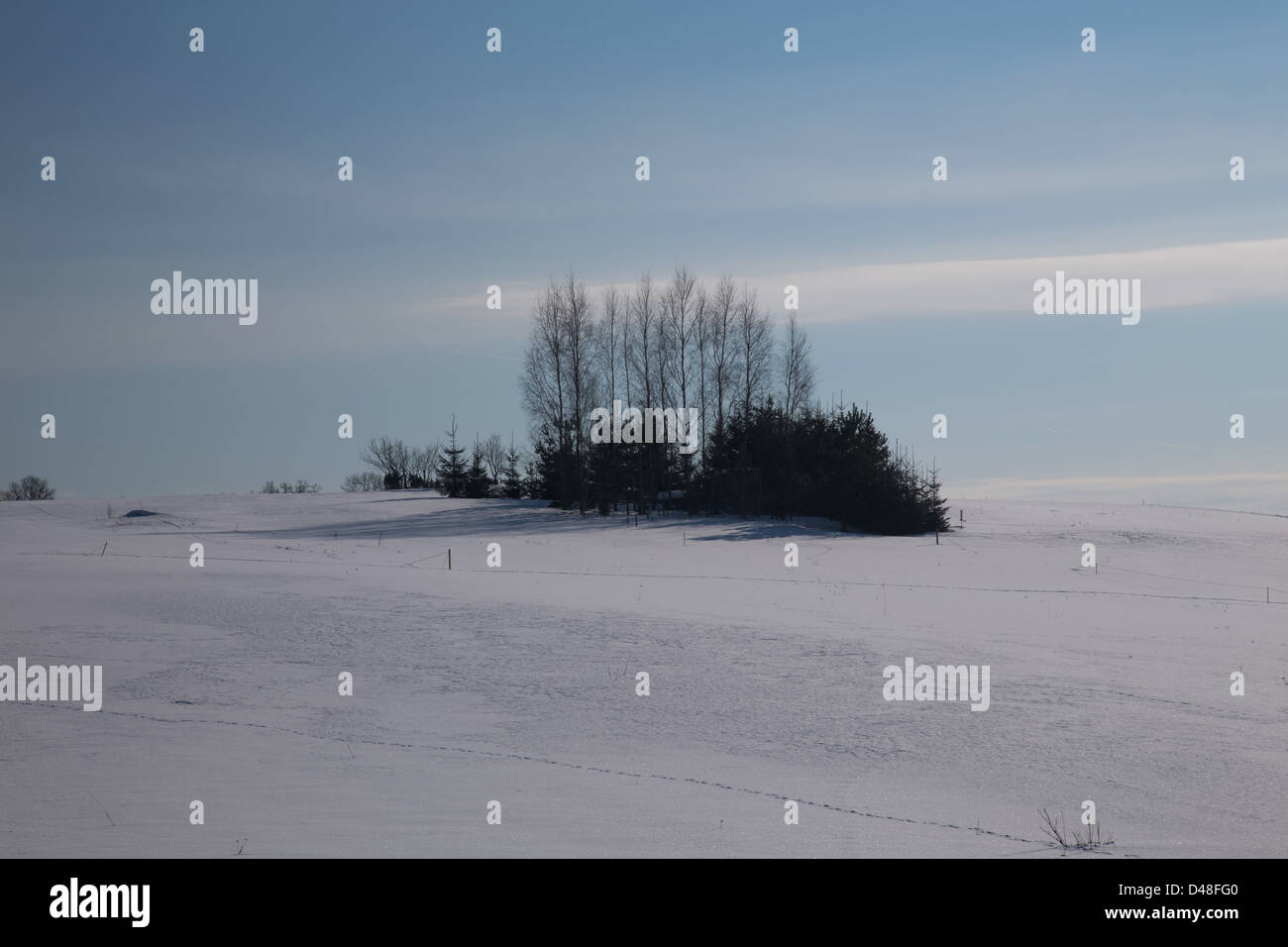 cold winter day Stock Photo - Alamy