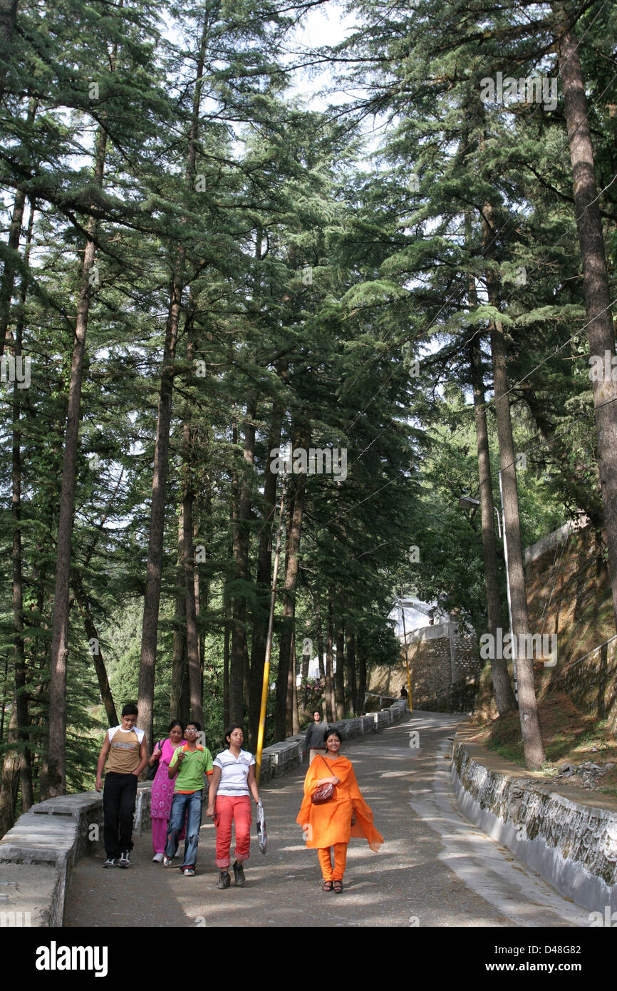 Street in Landour Stock Photo - Alamy