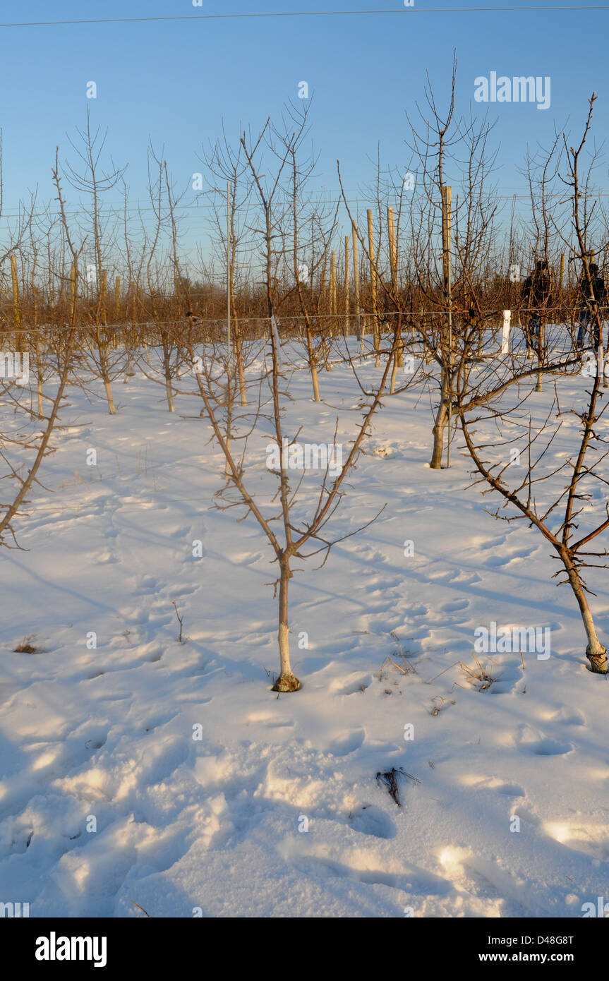 Spindle snow hi-res stock photography and images - Alamy
