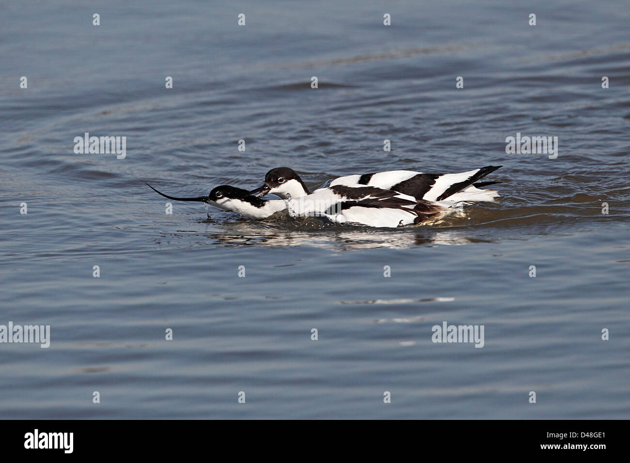 English territory hi-res stock photography and images - Alamy