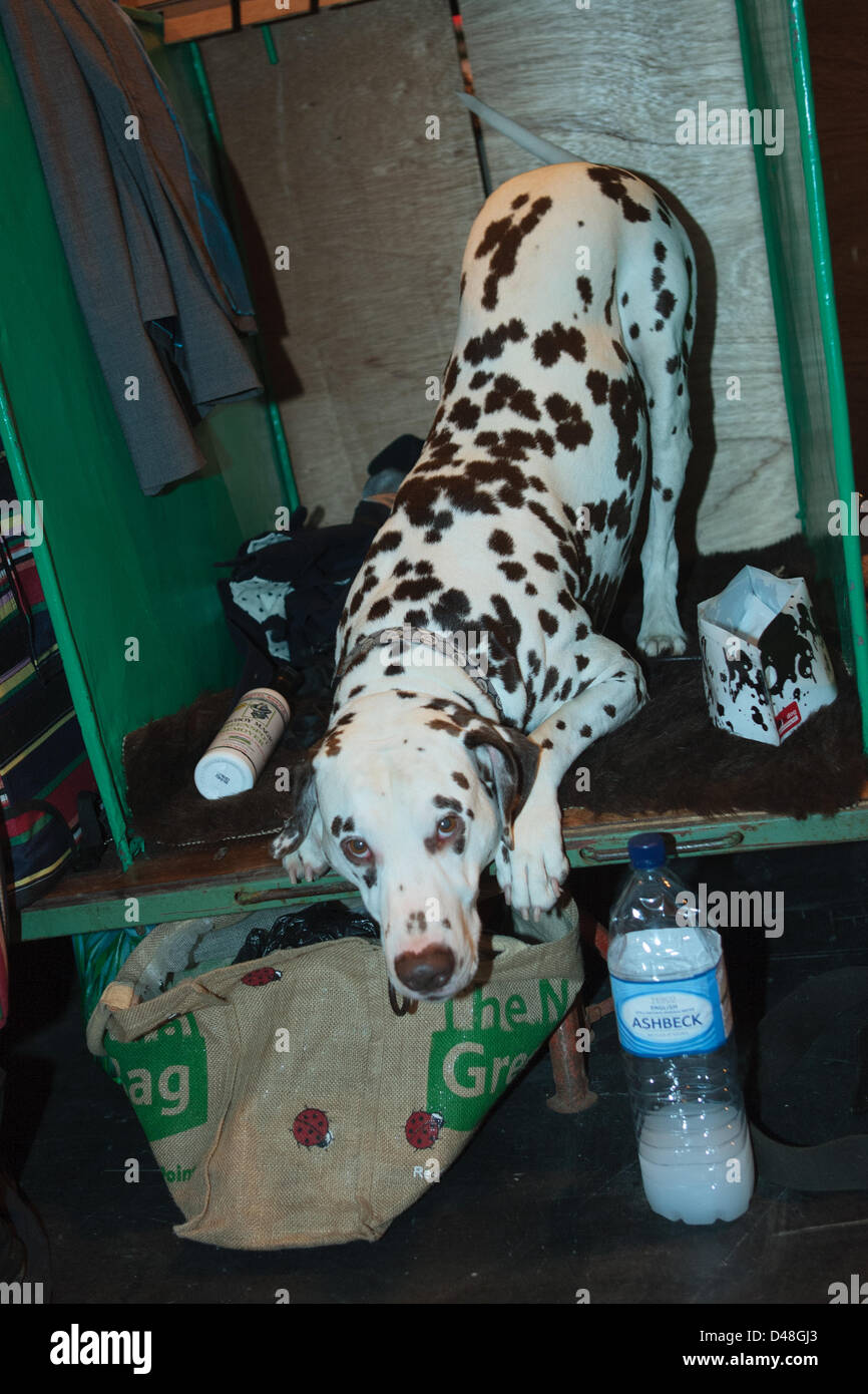 Show bench hi-res stock photography and images - Alamy