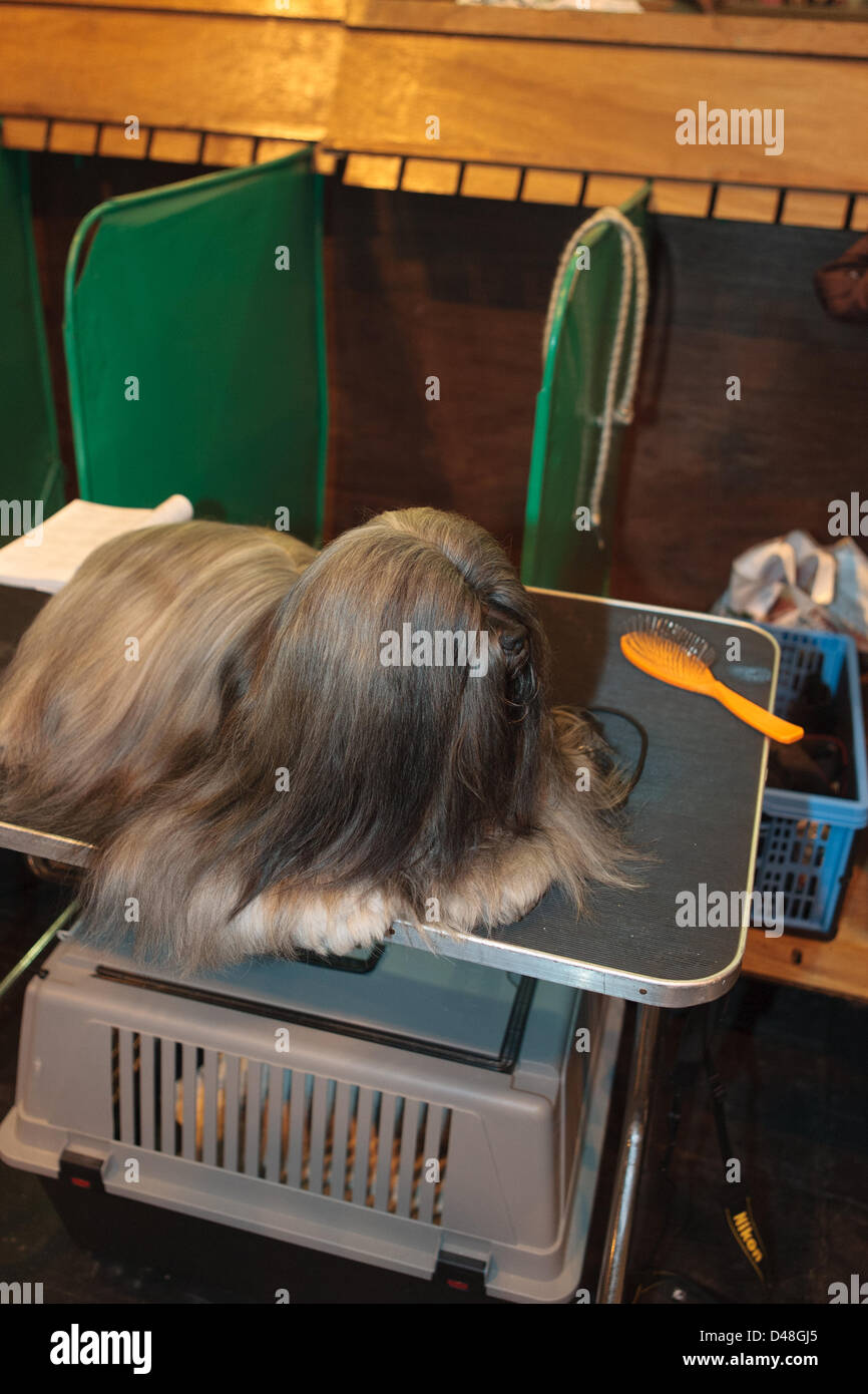 Show bench hi-res stock photography and images - Alamy