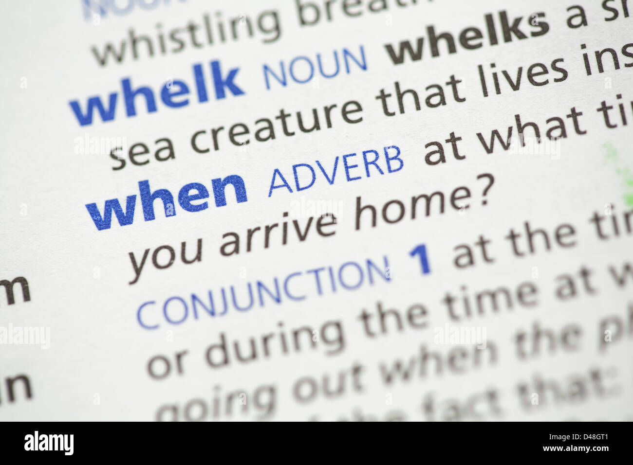 Whelk and when definition Stock Photo - Alamy