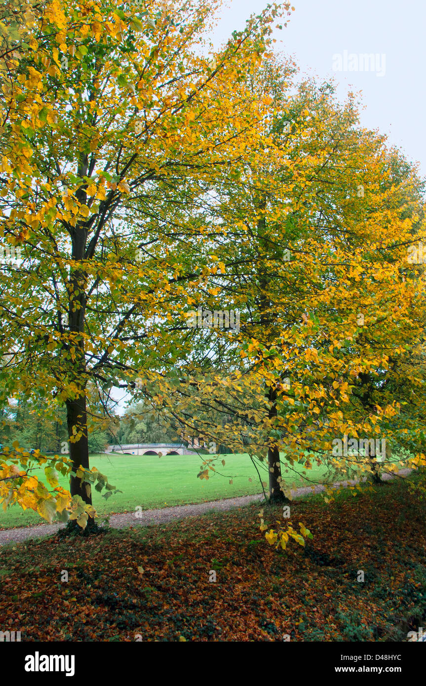 Autumn trees with a bridge in the background Stock Photo - Alamy