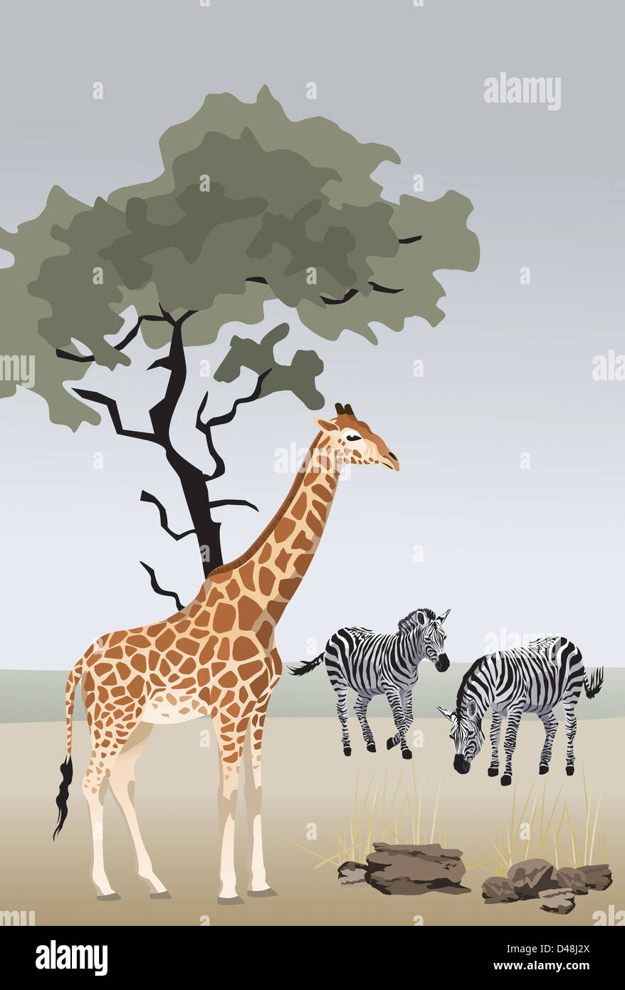 Giraffe illustration with zebras in wild landscape of Africa Stock ...