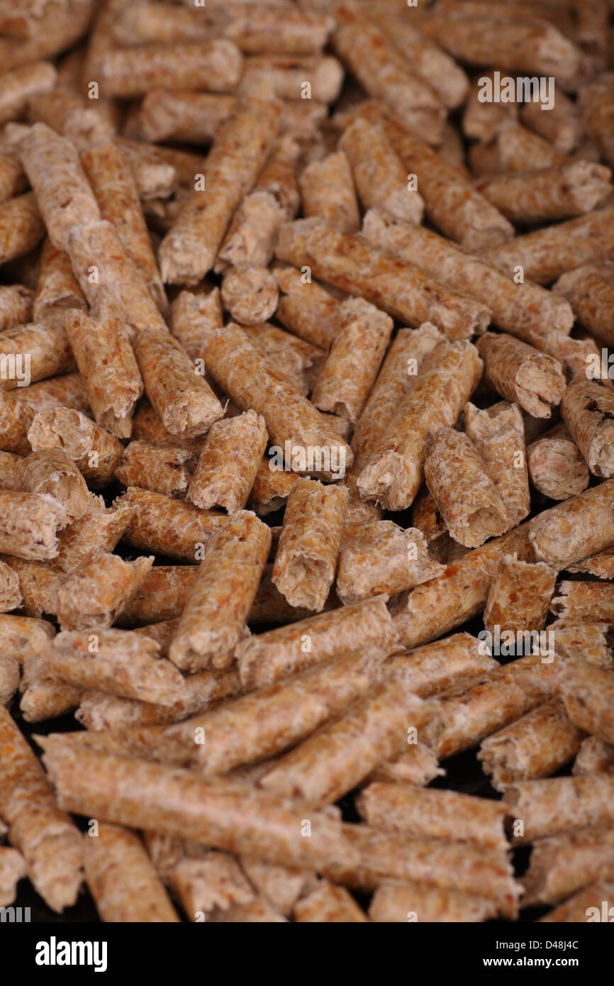 wood pellets, a renewable energy source Stock Photo - Alamy