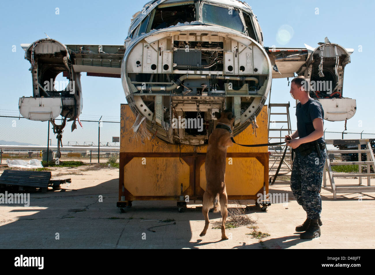 A military working dog participates in training exercises at a U.S ...