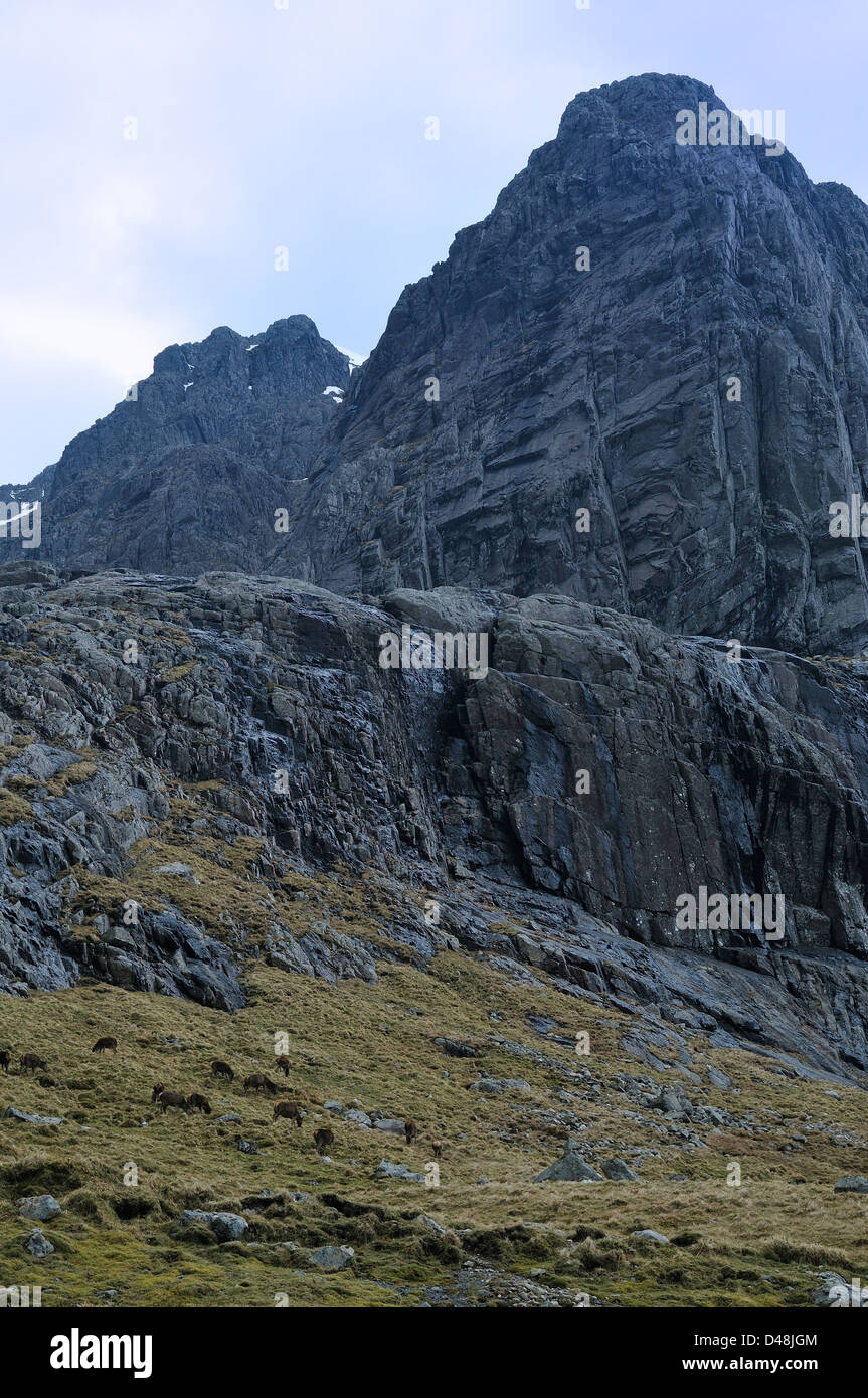 Carn dearg buttress hi-res stock photography and images - Alamy