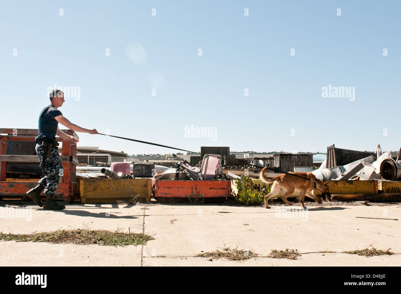 A military working dog participates in an explosives detection drill in ...