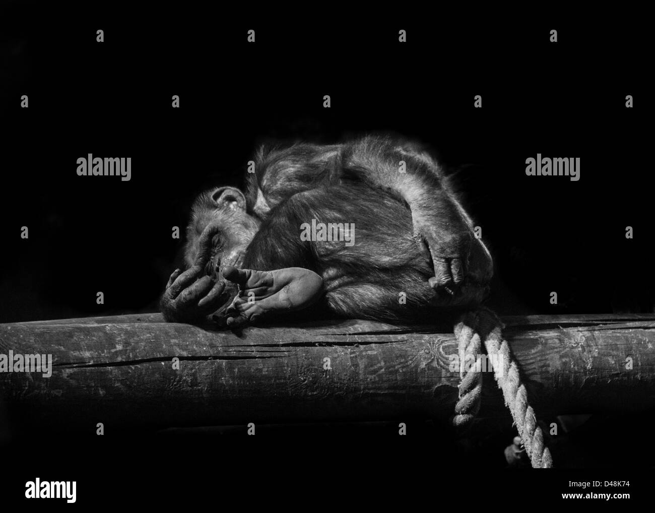 Eg background Black and White Stock Photos & Images - Alamy