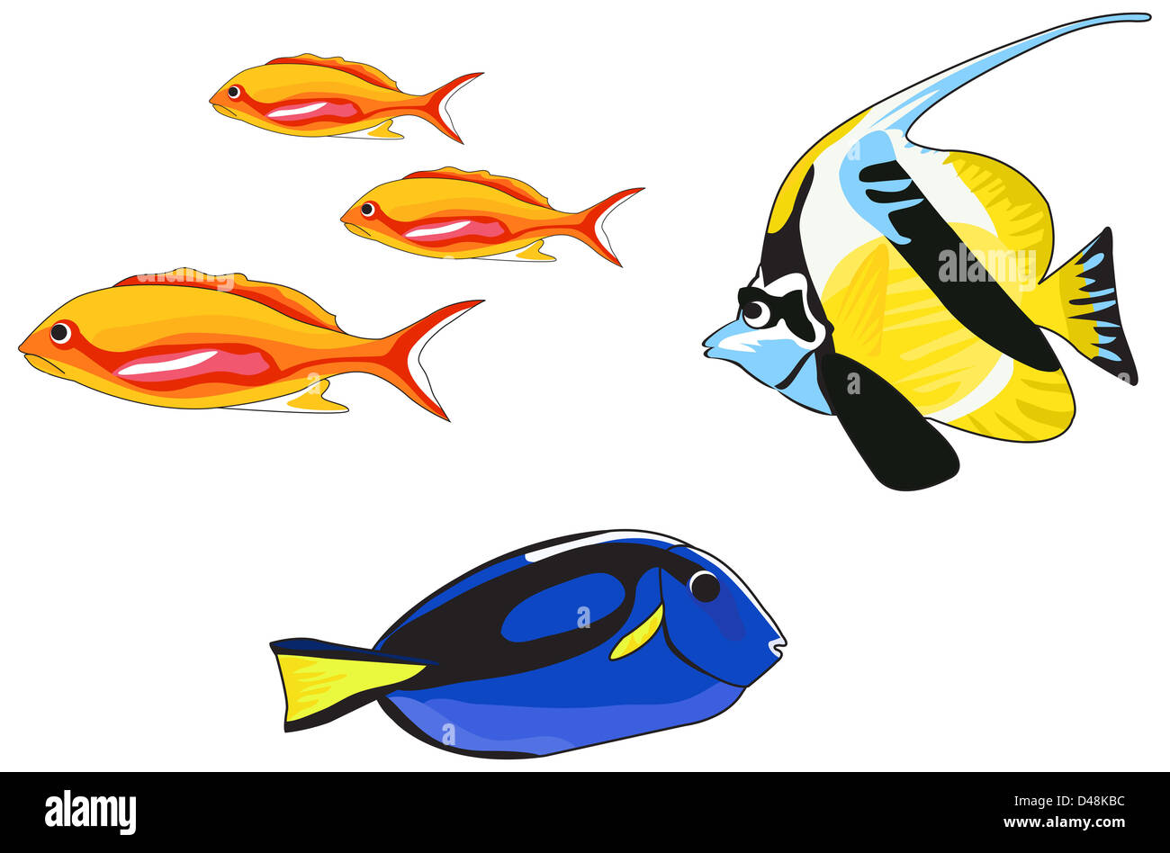 Tropical Fish Clip Art