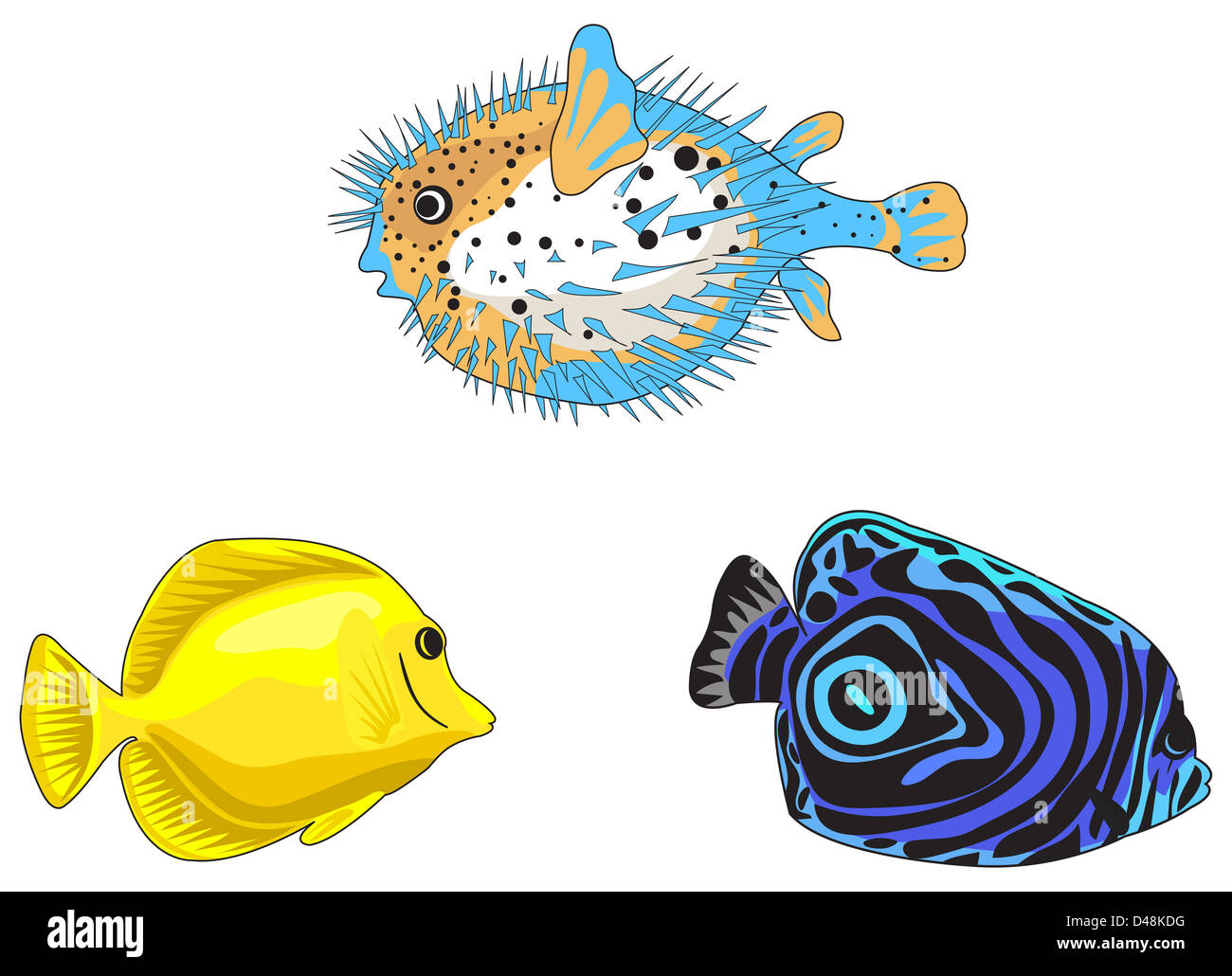 Tropical fish illustrations on white background Stock Photo - Alamy