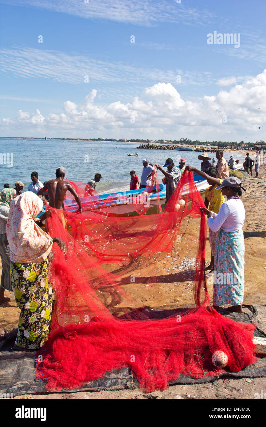 Fisherman catch fish in the net hi-res stock photography and images - Alamy