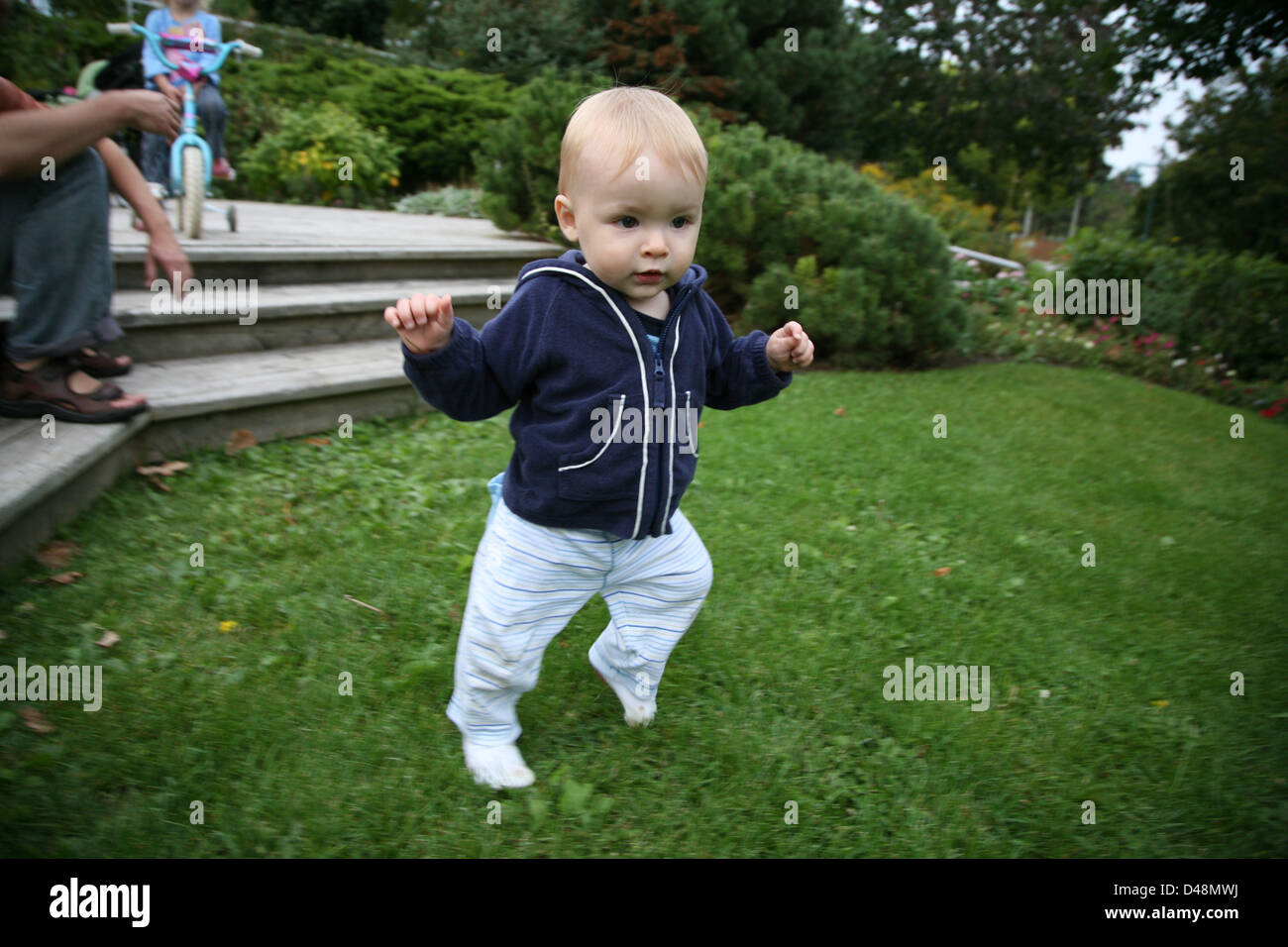 Toddler learning to walk outside Stock Photo - Alamy
