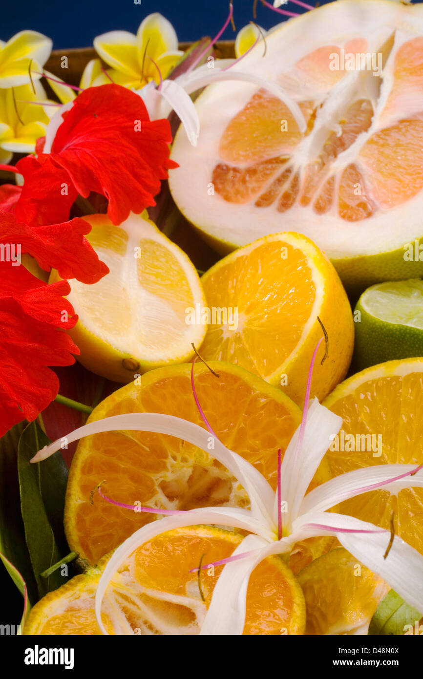 Various citrus slices orange hi-res stock photography and images - Alamy