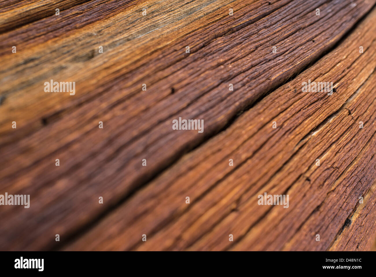 Stem Pattern And Texture Stock Photos & Stem Pattern And Texture Stock ...