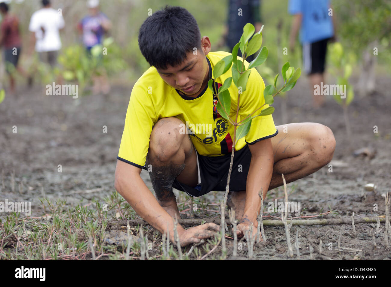 Man Planting Young Trees Stock Photos & Man Planting Young Trees Stock ...