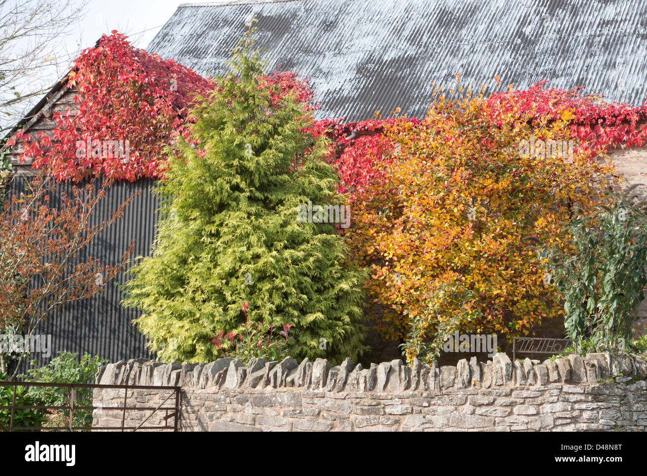 Colourful barn wall hi-res stock photography and images - Alamy