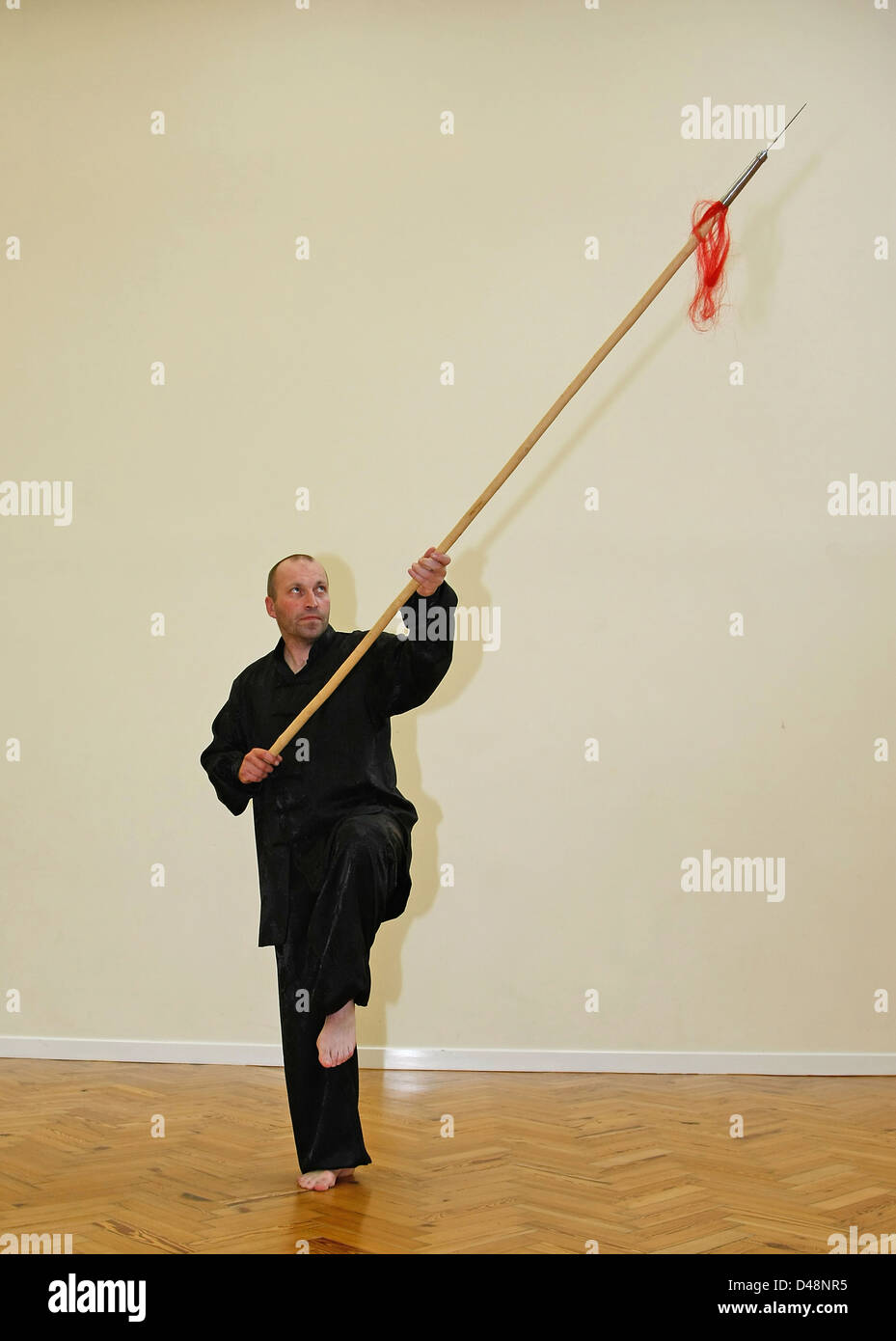 Shaolin Spear