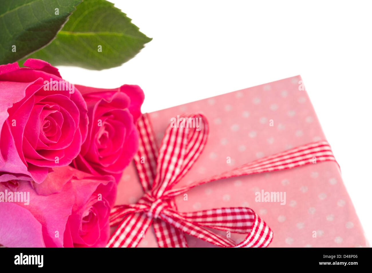 Pink roses leaning on pink polka dot wrapped present Stock Photo - Alamy