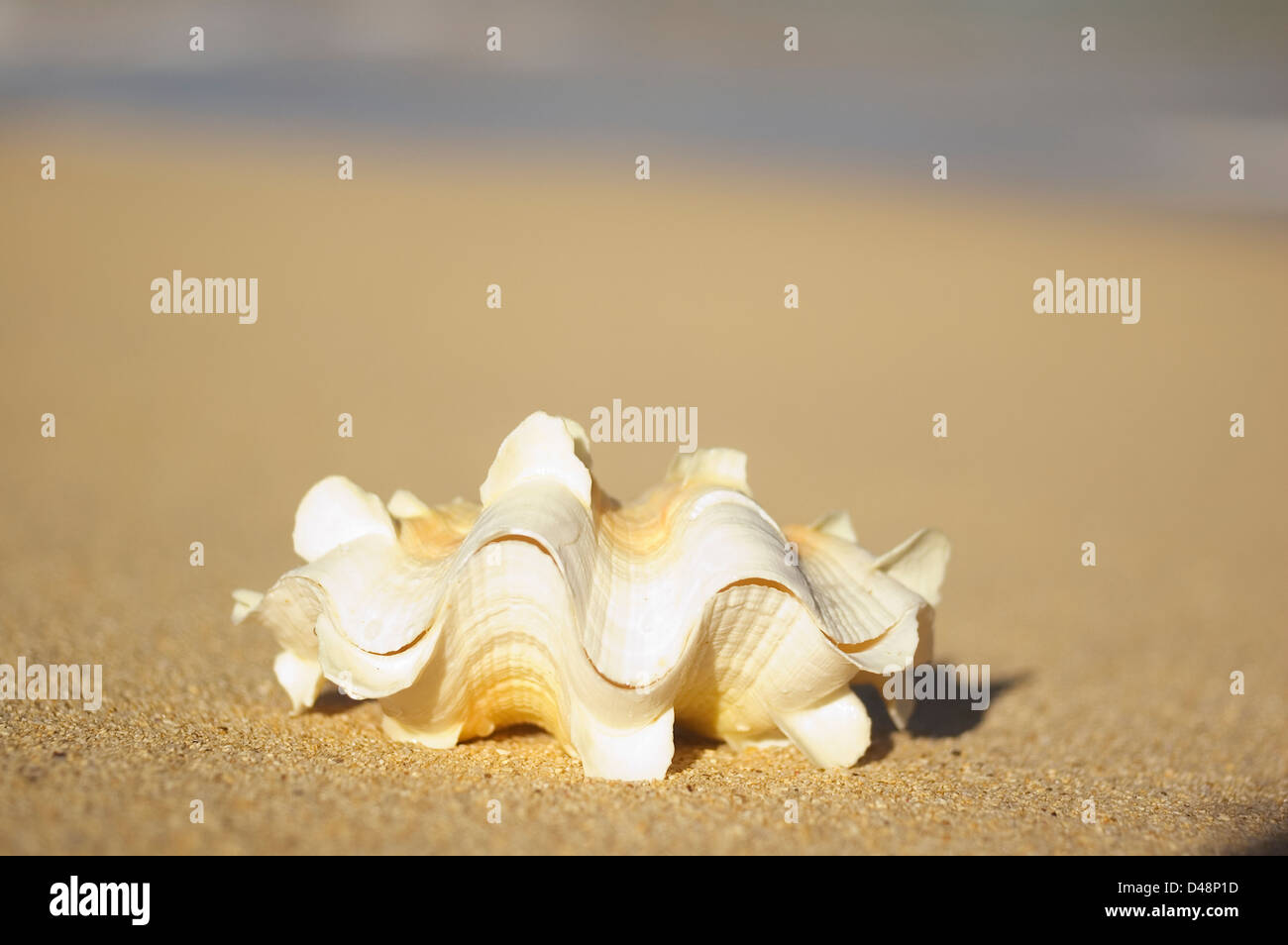 Frilly white hi-res stock photography and images - Alamy