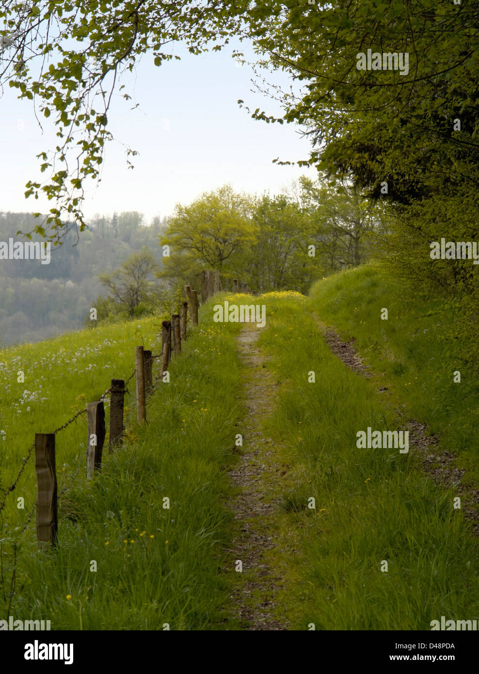 idyllic scenery showing a rural field path in Southern Germany at ...