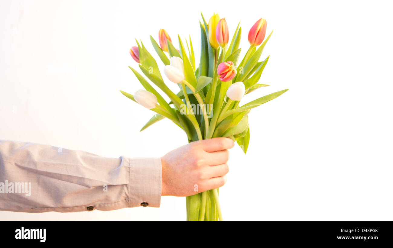 Mans hand offering bunch of tulips Stock Photo - Alamy