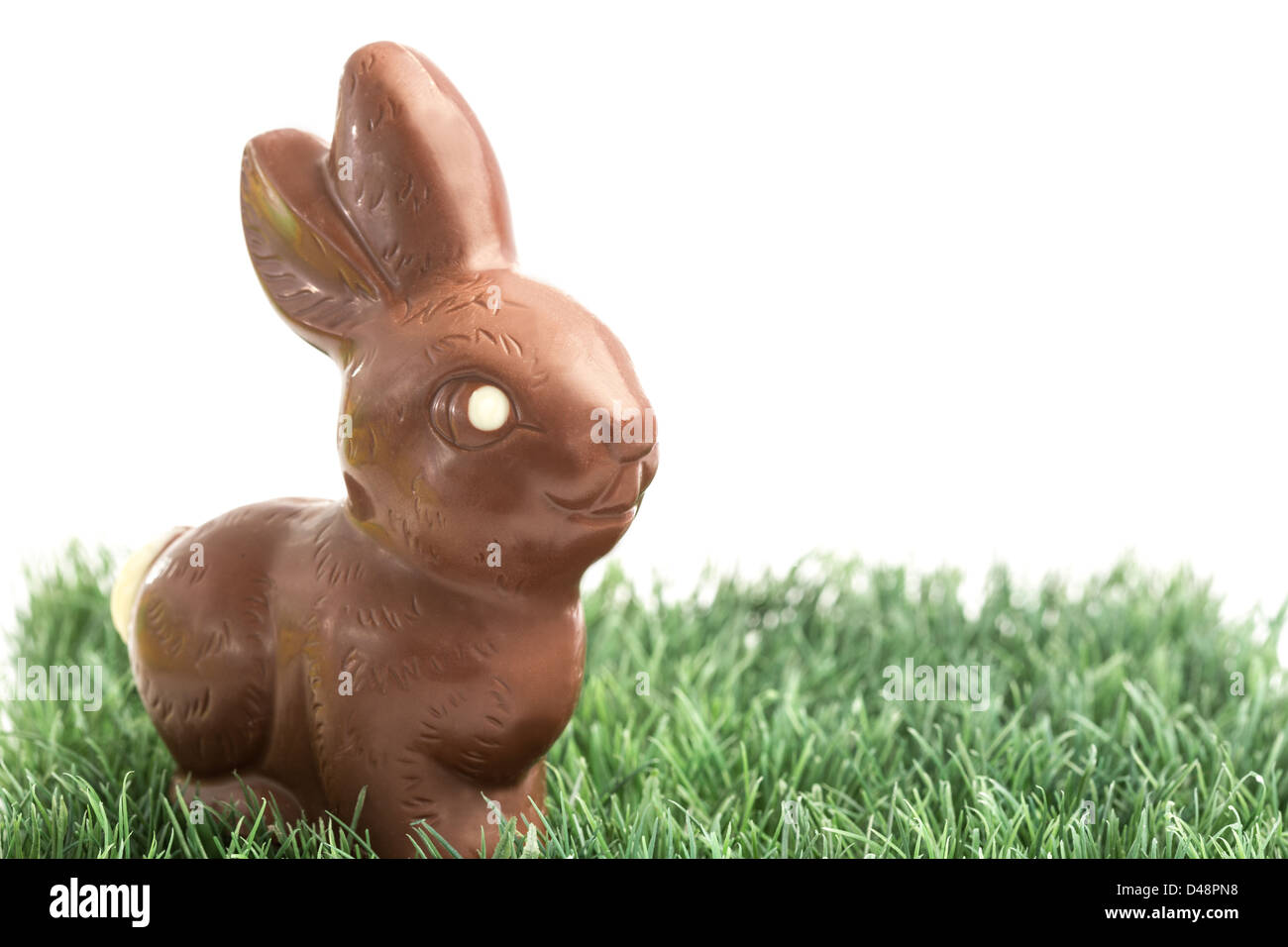 Bunny on grass hi-res stock photography and images - Alamy